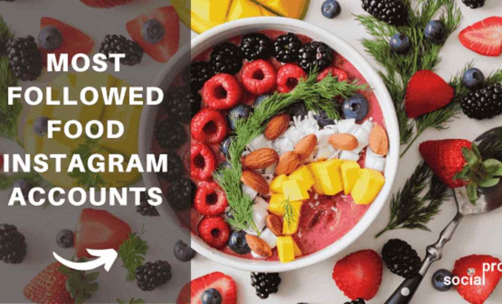 Most Followed Food Instagram Accounts | 2021 Update | Social Pros