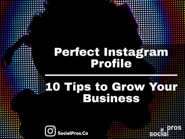 Perfect Instagram Profile: 10 Tips to Grow Your Business - Social Pros