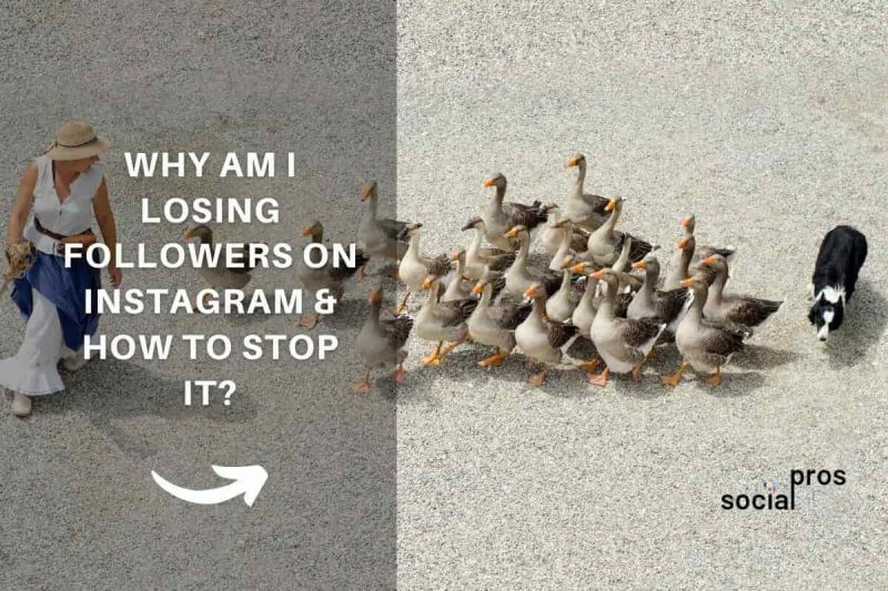Why Am I Losing Followers on Instagram & How to Stop It? - Social Pros