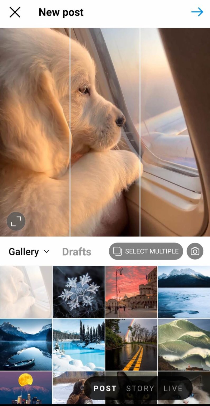 Instagram Drafts: How to Save, Find, and Delete Drafts on Instagram 2024?