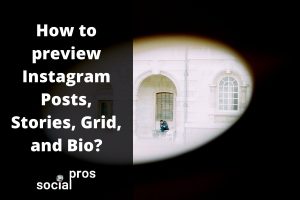 How to preview Instagram Posts, Stories, Grid, and Bio? - Social Pros