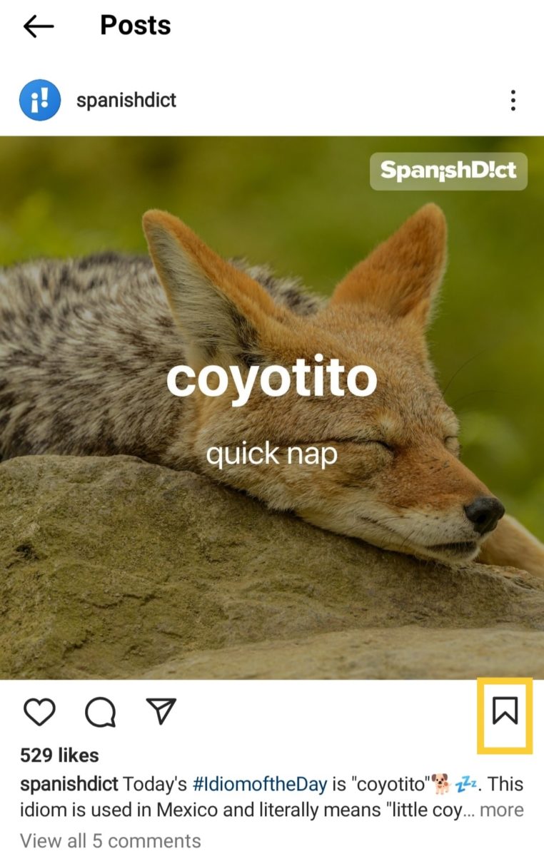 What Does the Flag Mean on Instagram? - Social Pros