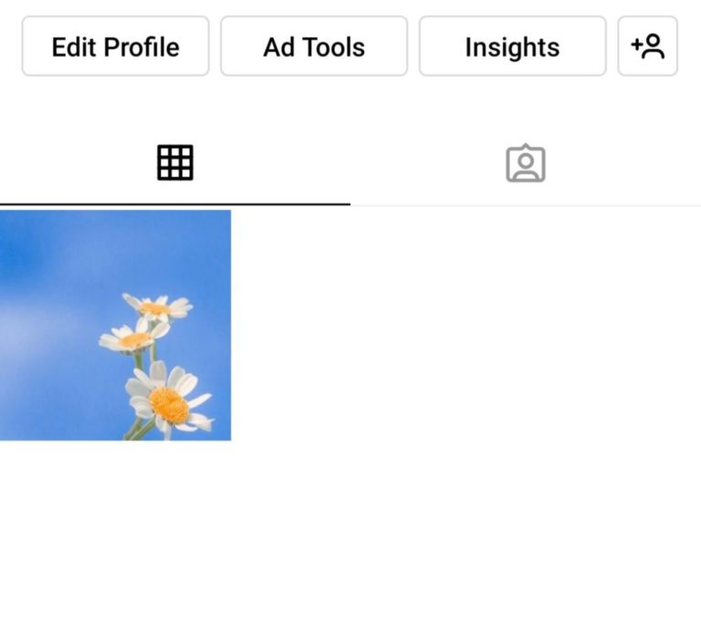 Instagram Promo: Great Way to Share Instagram Coupons for Giveaways and ...