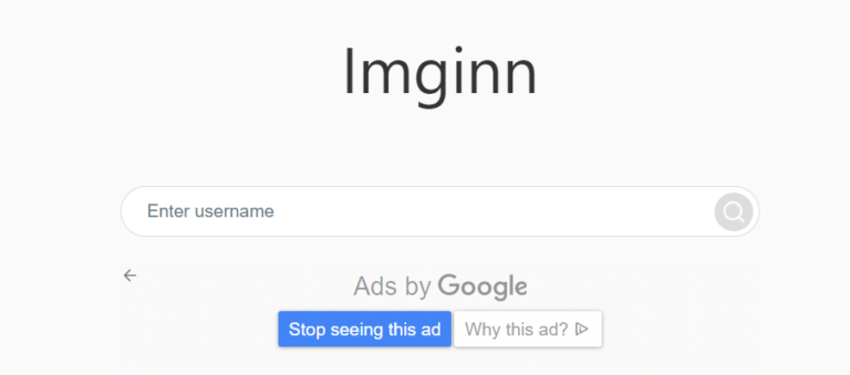 Imginn Review 2023: Is This Instagram Viewer Tool Safe to Use? - Social ...
