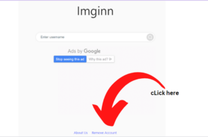 Imginn Review 2023: Is This Instagram Viewer Tool Safe to Use? - Social ...