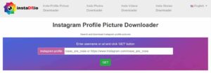 Instagram profile Picture Downloader: 6 Free Instagram pfp Downloaders ...