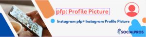 Instagram profile Picture Downloader: 6 Free Instagram pfp Downloaders ...