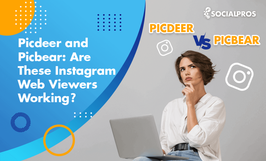 Picdeer vs. Picbear: Are These Instagram Web Viewers Working in 2023 ...