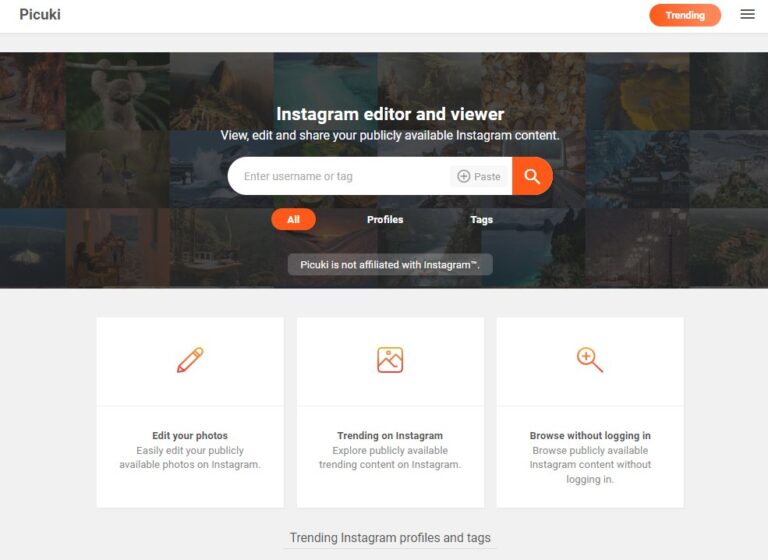 Picuki Review 2024: Is It Worth Trying? [+ Best Alternatives] - Social Pros