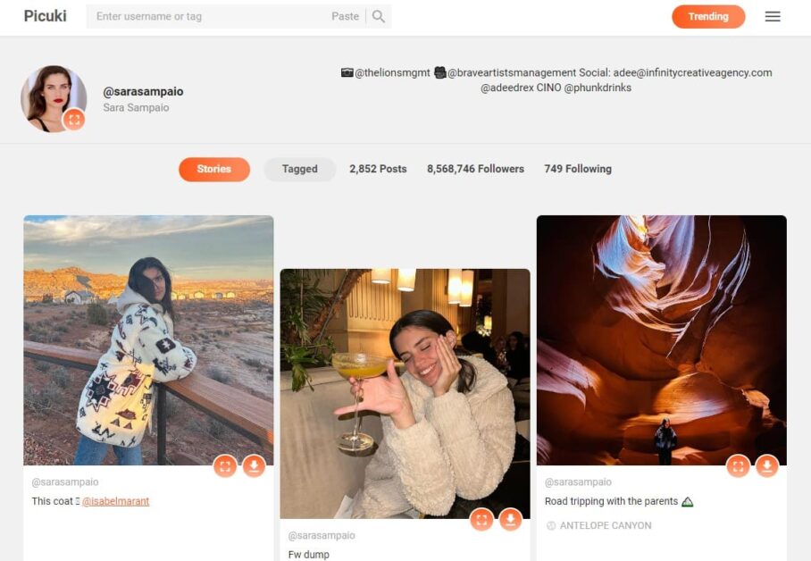 Picuki Review 2024: Is It Worth Trying? [+ Best Alternatives] - Social Pros