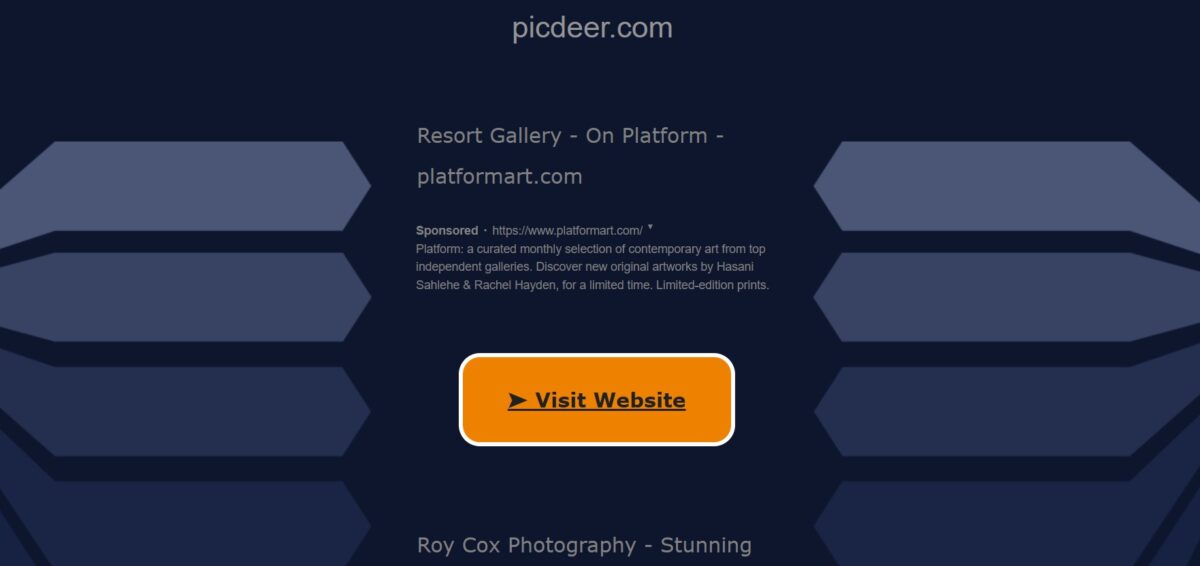 Picdeer vs. Picbear: Are These Instagram Web Viewers Working in 2023 ...