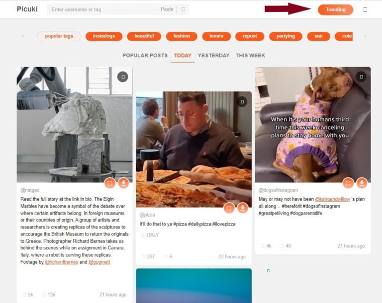 What Is Picuki; Is It an Effective Instagram Viewer Tool In 2023 + The ...