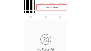 User Not Found Instagram Explained: 8 Definitive Causes & Solutions ...