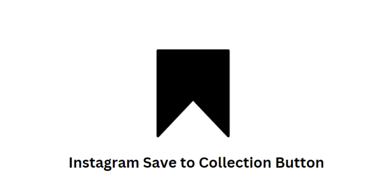 Instagram Saved Posts & Collections [A Comprehensive Guide 2024 ...